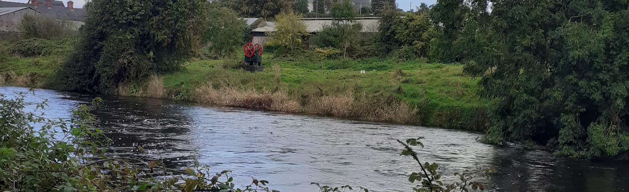 Turbet Island Loop, County Cavan, Ireland - 11 Reviews, Map | AllTrails