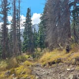 Venable-Comanche Trail, Colorado - 423 Reviews, Map | AllTrails