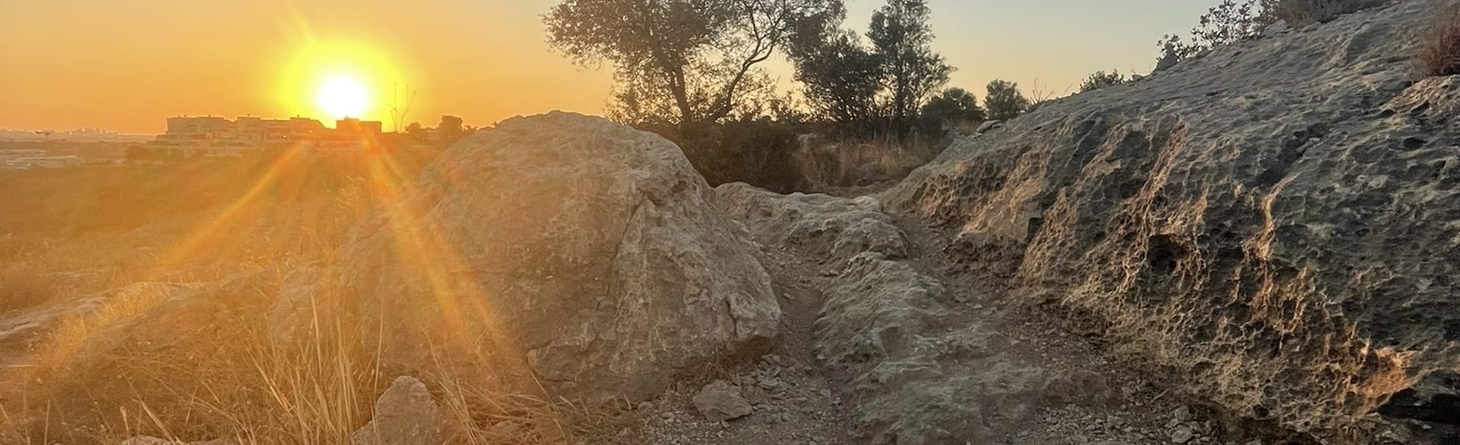 Shoham Forest and Givat HaSaflulim Circuit, Central District HaMerkaz ...