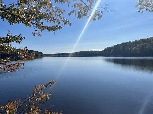 Best Hikes and Trails in Salem State Forest | AllTrails