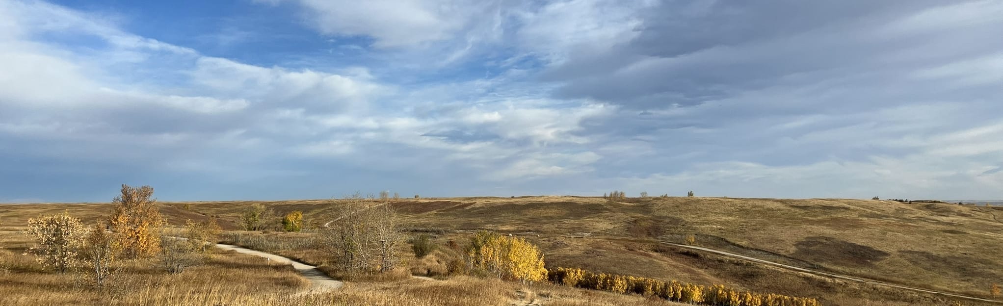 Nose Hill Loop via 14 St: 240 Reviews, Map - Alberta, Canada | AllTrails