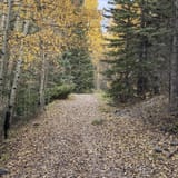 Mill Castle Trail to Lowline Trail Loop, Colorado - 44 Reviews, Map ...