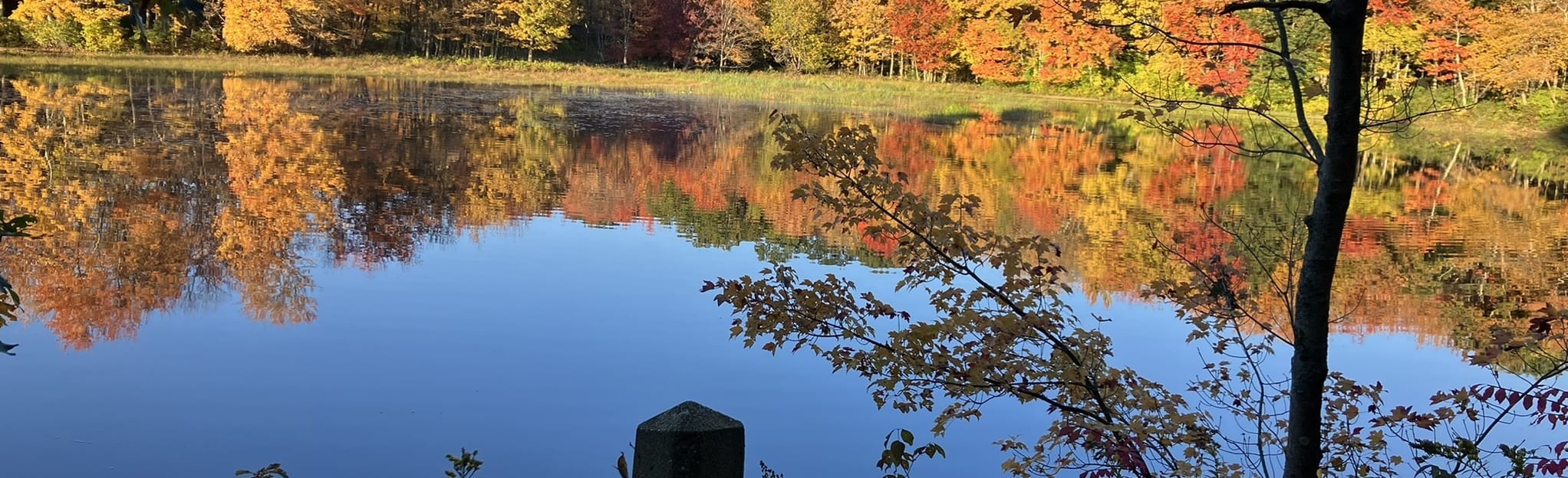 Midstate Trail: Part 5 Charlton to Spencer, Massachusetts - 73 Reviews ...