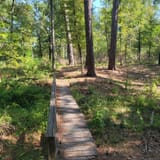 Ratcliff Lake Trail, Texas - 242 Reviews, Map | AllTrails