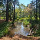 Ratcliff Lake Trail, Texas - 242 Reviews, Map | AllTrails