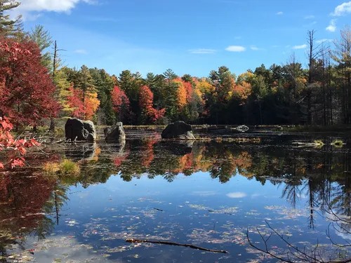 10 Best Trails and Hikes in Muskoka Lakes | AllTrails