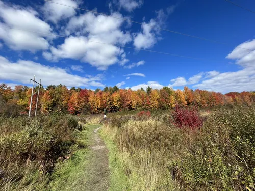 10 Best Hikes and Trails in NCC Greenbelt | AllTrails