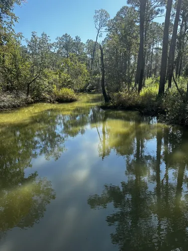 Best Walking Trails in Foley | AllTrails