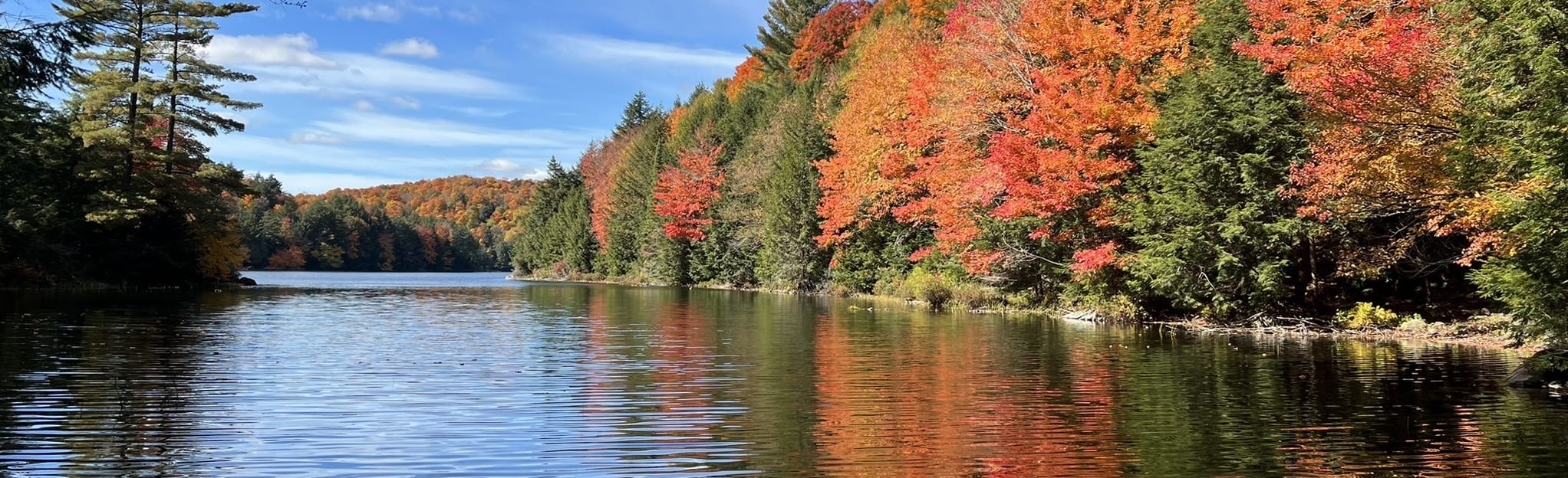 AllTrails | Buck Lake to Poverty Lake: 7 Reviews, Map - Ontario, Canada