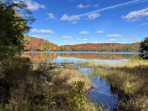 10 Best Hikes and Trails in Limberlost Forest and Wildlife Reserve ...