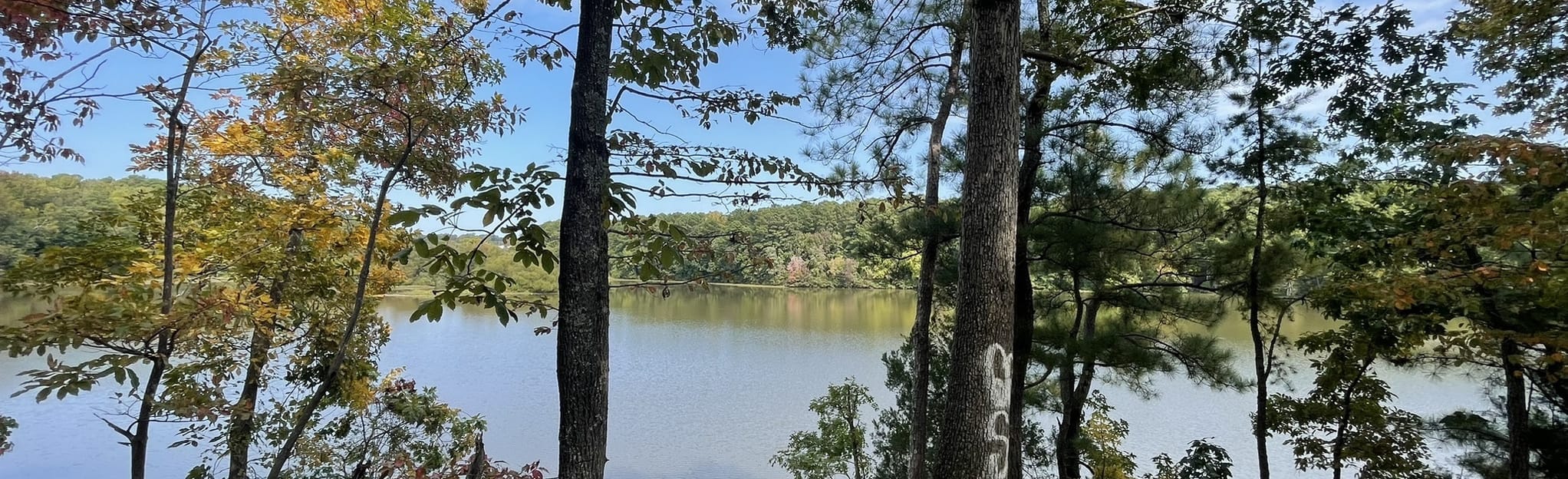 Walnut Creek Trail, North Carolina - 294 Reviews, Map | AllTrails