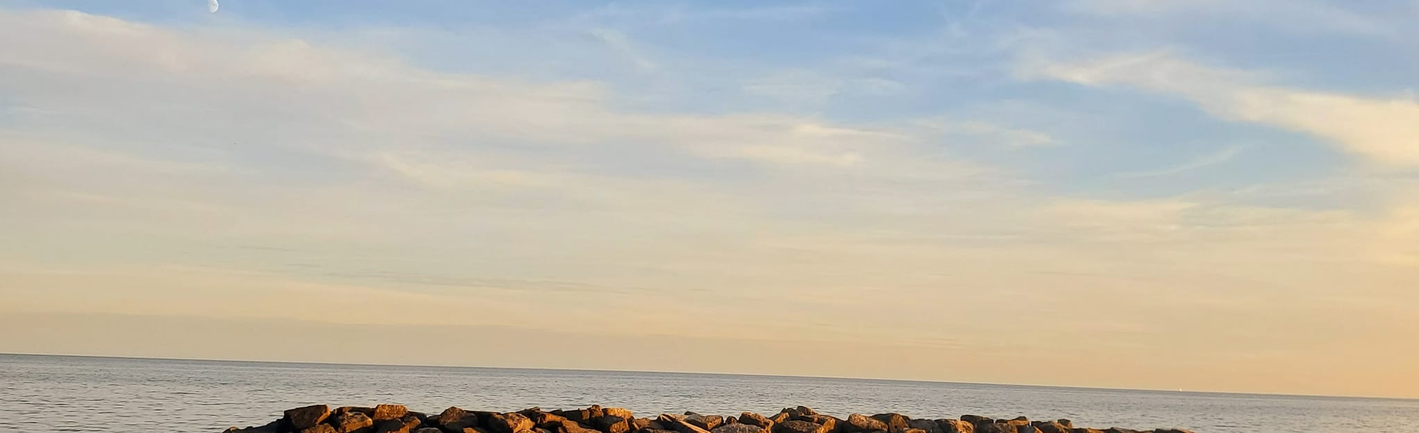 The Boardwalk and Woodbine Beach, 384 Fotos - Ontario, Canada | AllTrails