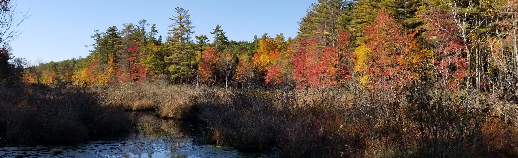Jeff Smith, French Meadow, Beaver Brook, Elkins Road and Meadow Trail ...
