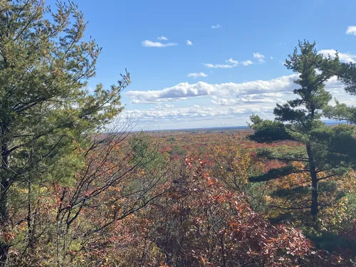 10 Best Trails and Hikes in Rigaud | AllTrails