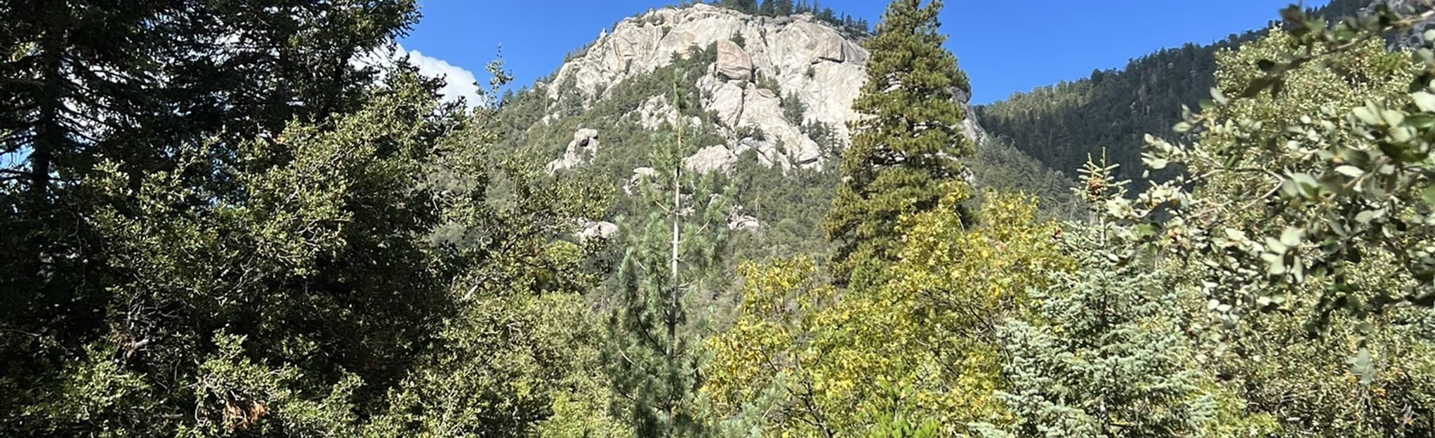 Tahquitz Rock via Friction Route: 52 Reviews, Map - California | AllTrails