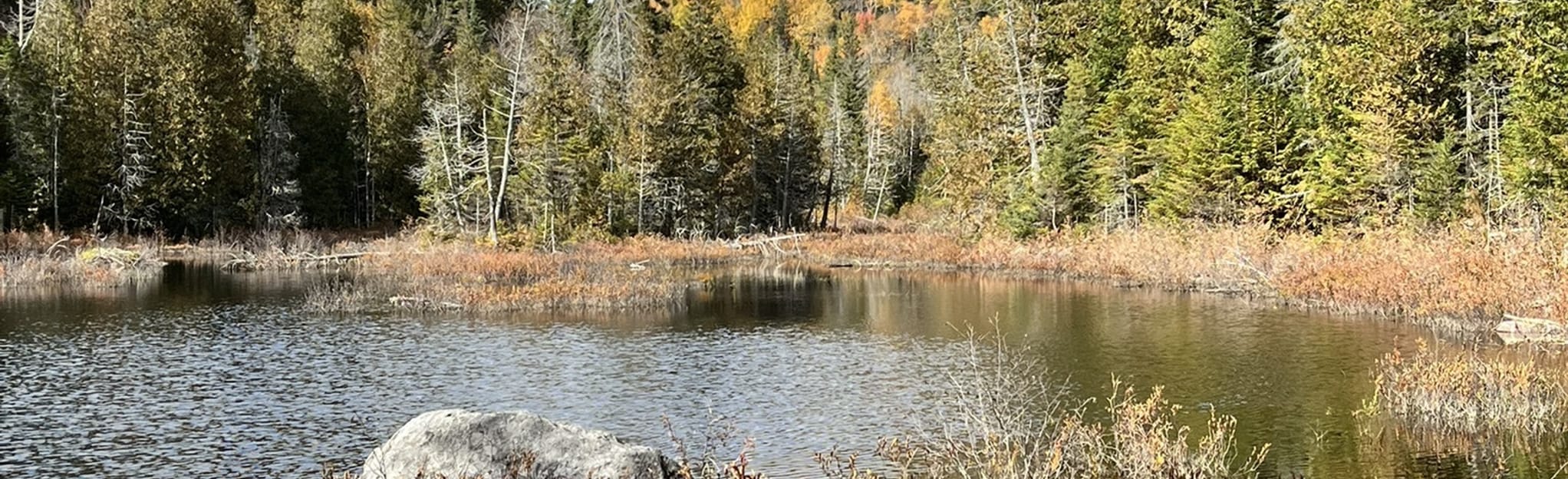 Lanaudière Loop, Quebec, Canada - 22 Reviews, Map | AllTrails