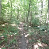 Birdsboro Waters Loop, Pennsylvania - 305 Reviews, Map | AllTrails