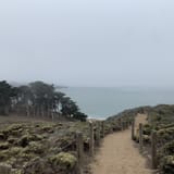 Bay Area Ridge Trail: San Francisco Presidio, California - 717 Reviews ...