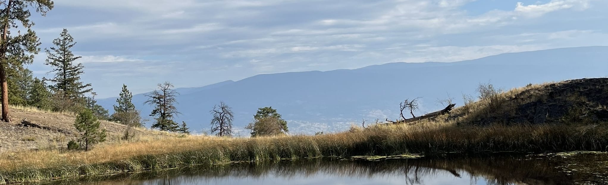 Pond Ridge: 20 Reviews, Map - British Columbia, Canada | AllTrails