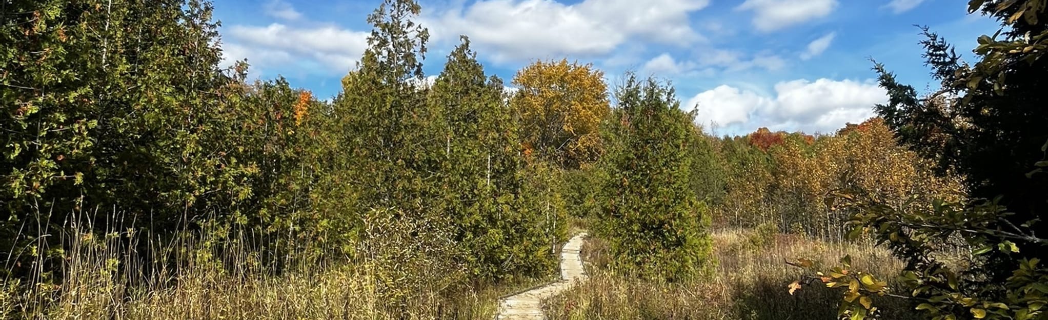 Keyhole Trail : 477 Reviews, Map - Ontario, Canada | AllTrails