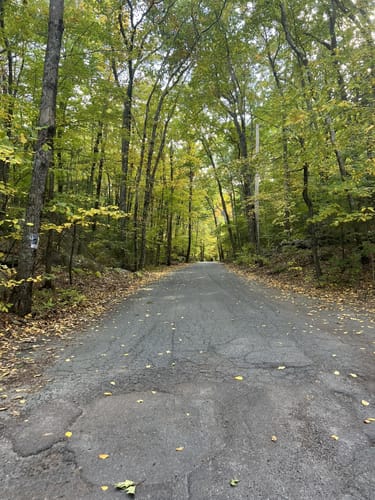 2023 Best Easy Trails in Holliston | AllTrails
