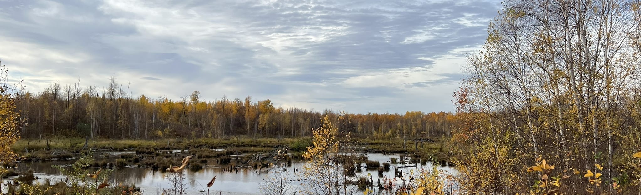 Oster Lake Access via Shirley Lake Trail | Mapa, Roteiro - Alberta ...