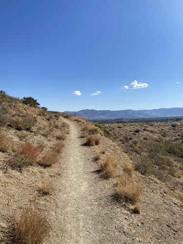 Best Hikes and Trails in Ballardini Open Space | AllTrails