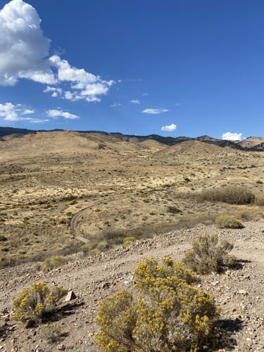 Best Hikes and Trails in Ballardini Open Space | AllTrails