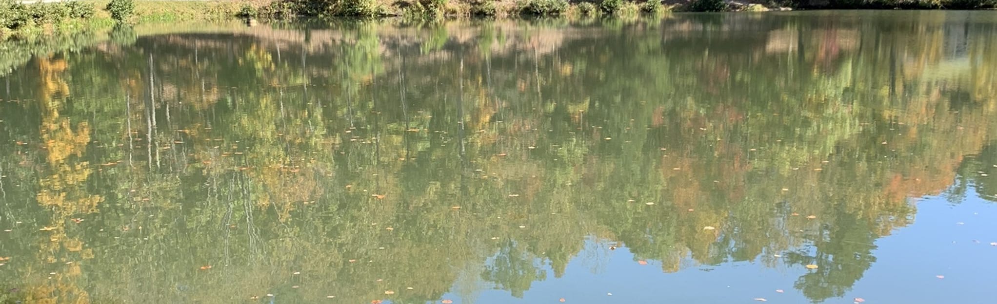 Lasso, Trail Too Far, and Spirit Trails Loop, Virginia - 36 Reviews ...