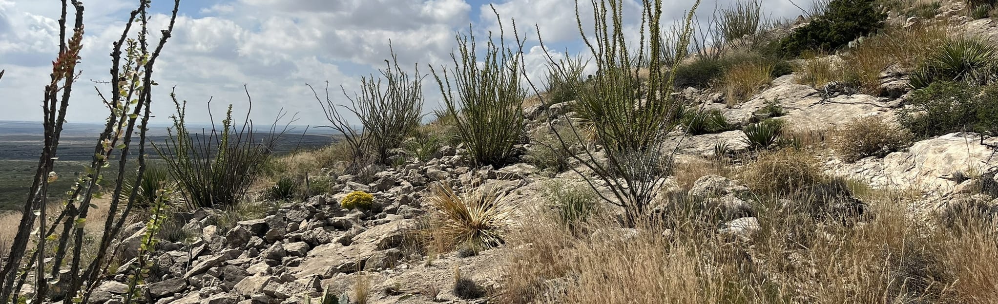 Old Guano Trail to White's City, New Mexico - 50 Reviews, Map | AllTrails