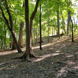High Park Loop, Ontario, Canada - 874 Reviews, Map | AllTrails