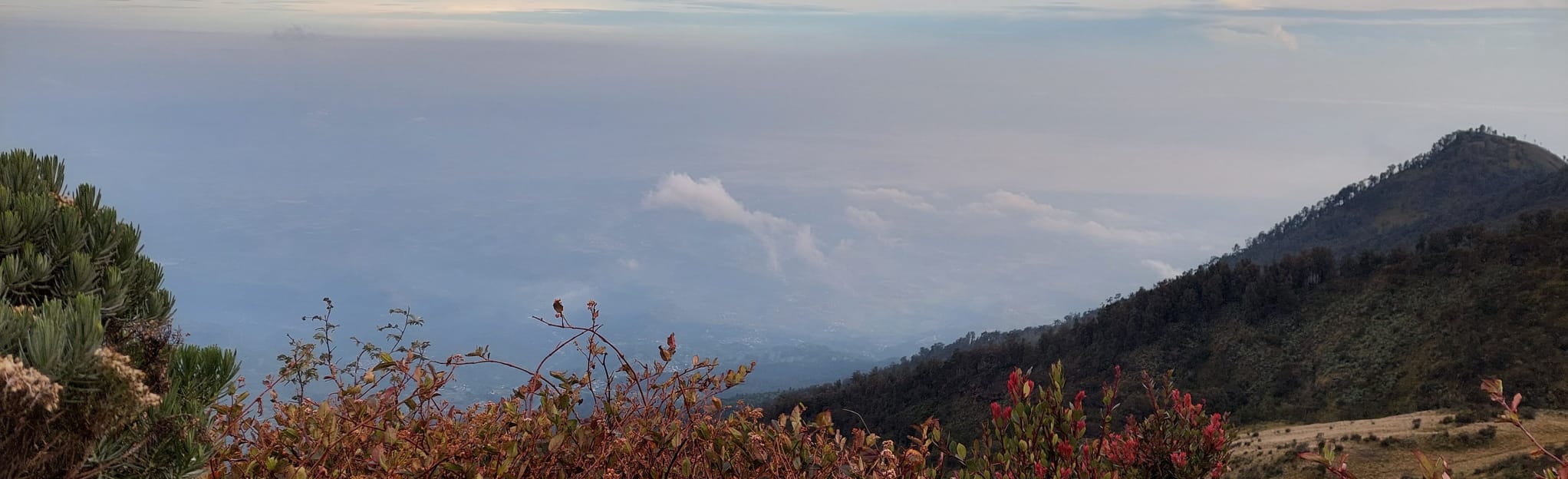 Mount Lawu West Trail: 32 foto's - Oost-Java, Indonesië | AllTrails