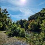 High Park Loop, Ontario, Canada - 874 Reviews, Map | AllTrails