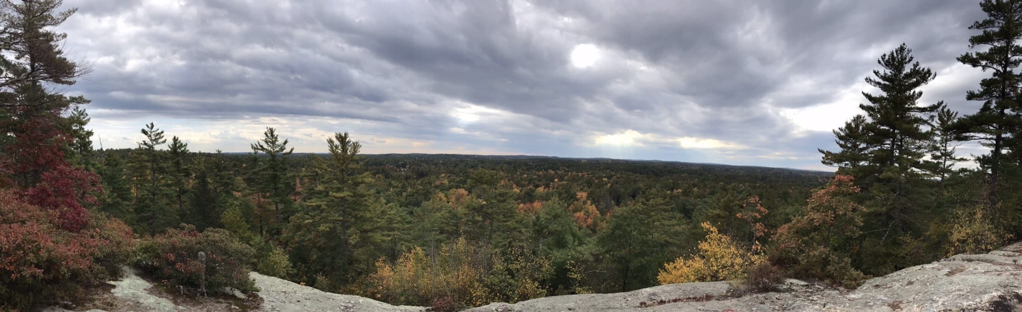 Rock Rimmon Hill, New Hampshire - 82 Reviews, Map | AllTrails