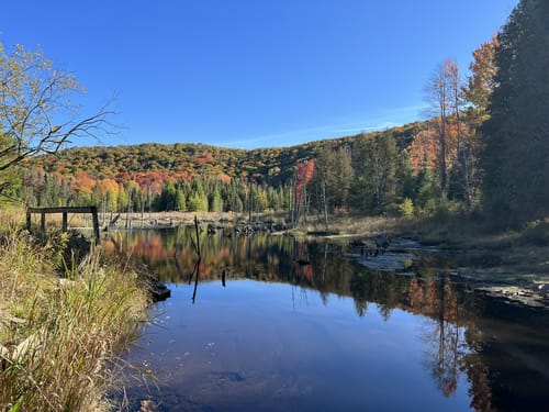 2023 Best 10 Backpacking Trails in Michigan | AllTrails
