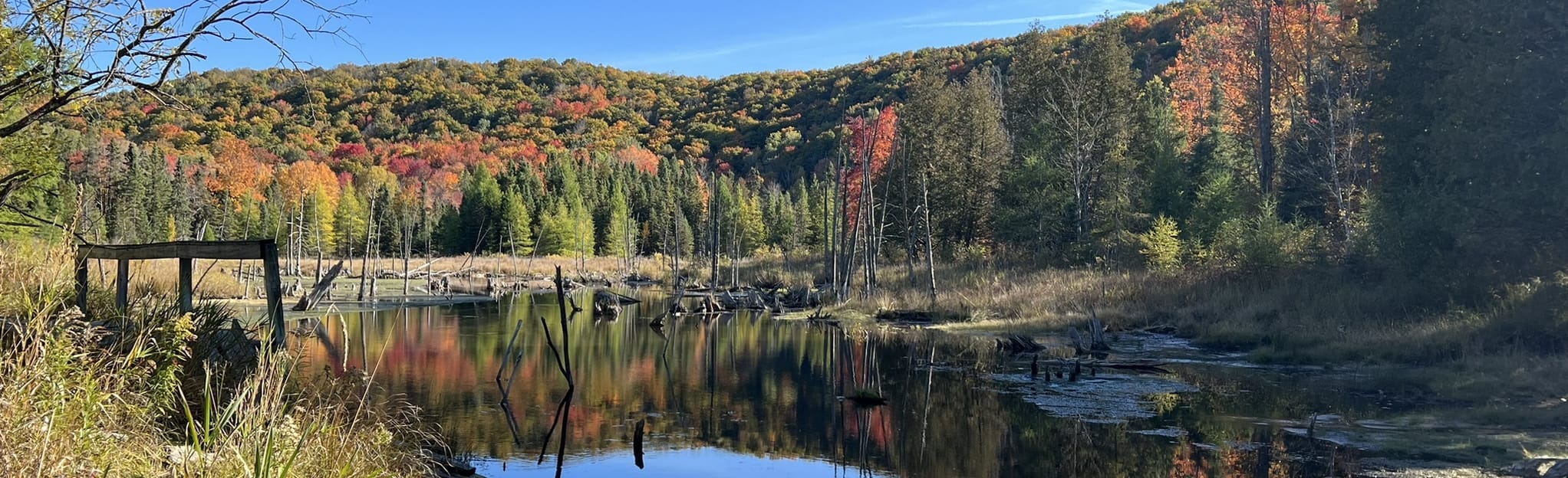 Jordan Valley Pathway, Michigan - 607 Reviews, Map | AllTrails