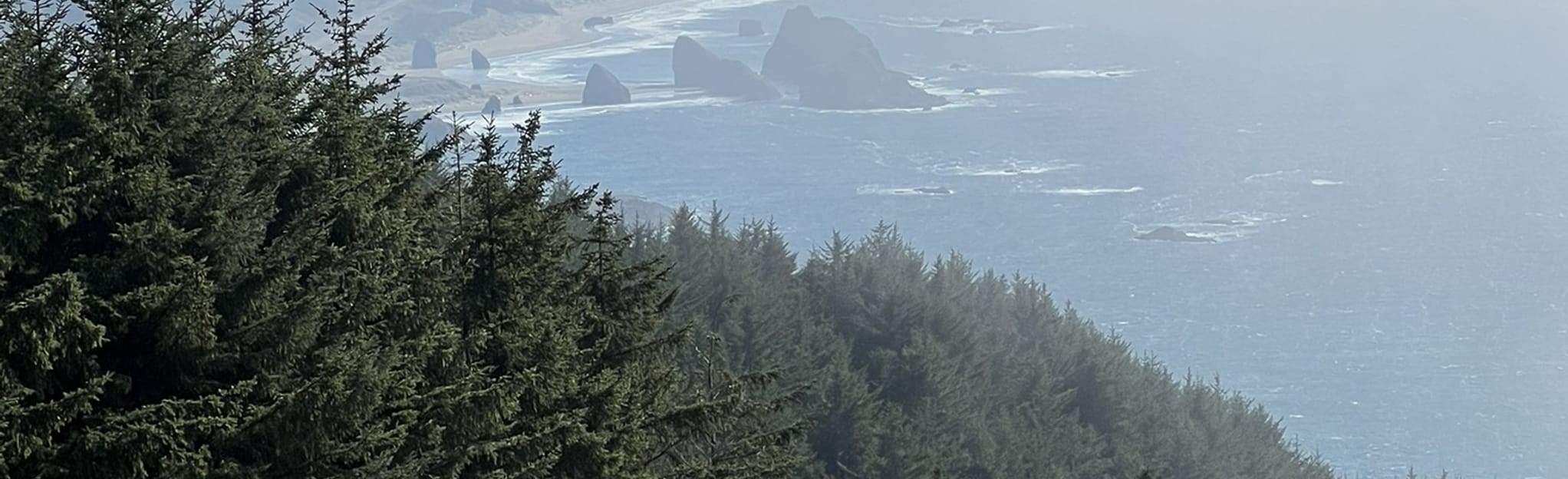 Cape Sebastian North Trail - Oregon | AllTrails