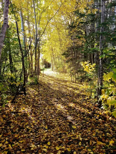 2023 Best Forest Trails in Grand-Métis | AllTrails