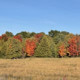 Boardman/Ottaway River Trail, Michigan - 309 Reviews, Map | AllTrails