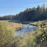 Boardman/Ottaway River Trail, Michigan - 309 Reviews, Map | AllTrails
