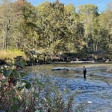 Boardman/Ottaway River Trail, Michigan - 309 Reviews, Map | AllTrails