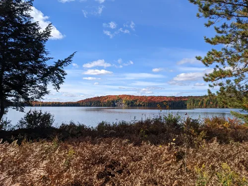 10 Best Hikes and Trails in Limberlost Forest and Wildlife Reserve ...
