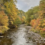 Bee Brook Loop, Connecticut - 912 Reviews, Map | AllTrails