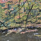 Bee Brook Loop, Connecticut - 912 Reviews, Map | AllTrails