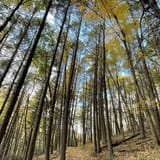 Bee Brook Loop, Connecticut - 912 Reviews, Map | AllTrails