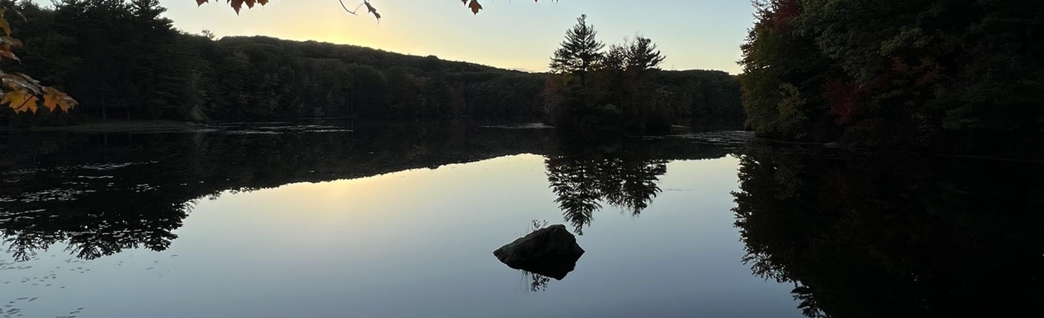 Woodland Trail, Massachusetts - 7 Reviews, Map | AllTrails