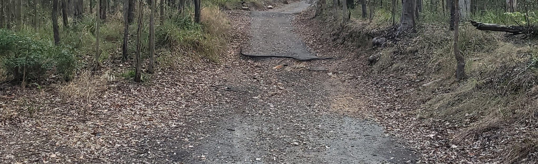 Maculata and Bardon Track | Mappa, Guida - Queensland, Australia ...