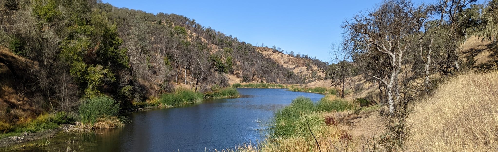 AllTrails | Kelly Lake Loop: Jim Donnely to Bear Gulch: 28 Reviews, Map ...