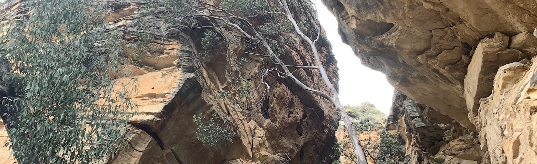 Minotaur’s Lair, New South Wales, Australia - 2 Reviews, Map | AllTrails