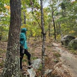 Tully Mountain Loop Trail, Massachusetts - 408 Reviews, Map | AllTrails